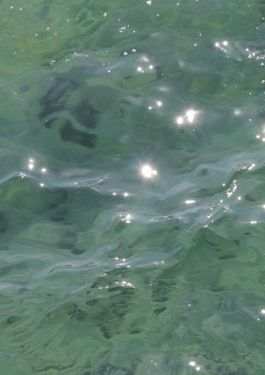 「mrs.」の小説・夢小説｜無料スマホ夢小説ならプリ小説 byGMO