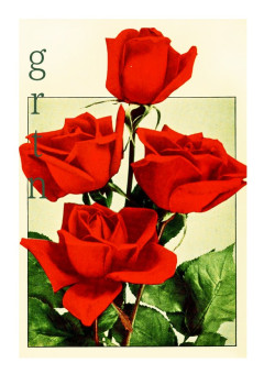 grtnのみ小説 - 全4話 【連載中】（ぱいなぽー長門さんなのだよ🍍♠@ーさんﾀﾞﾖさんの小説） | 無料スマホ夢小説ならプリ小説 byGMO