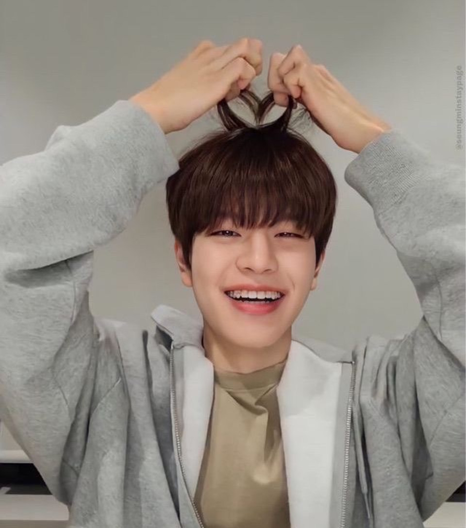 第3話：🐶 リクエスト（SKZ 短編集）｜無料スマホ夢小説ならプリ小説 byGMO