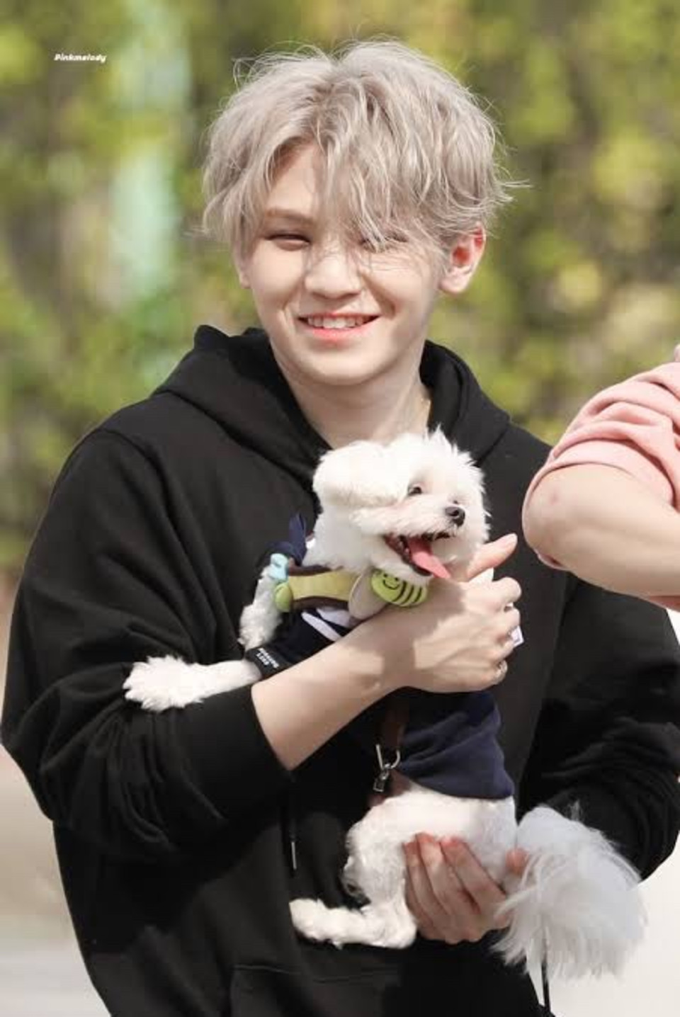 第19話：relay（carat memory）｜無料スマホ夢小説ならプリ小説 byGMO