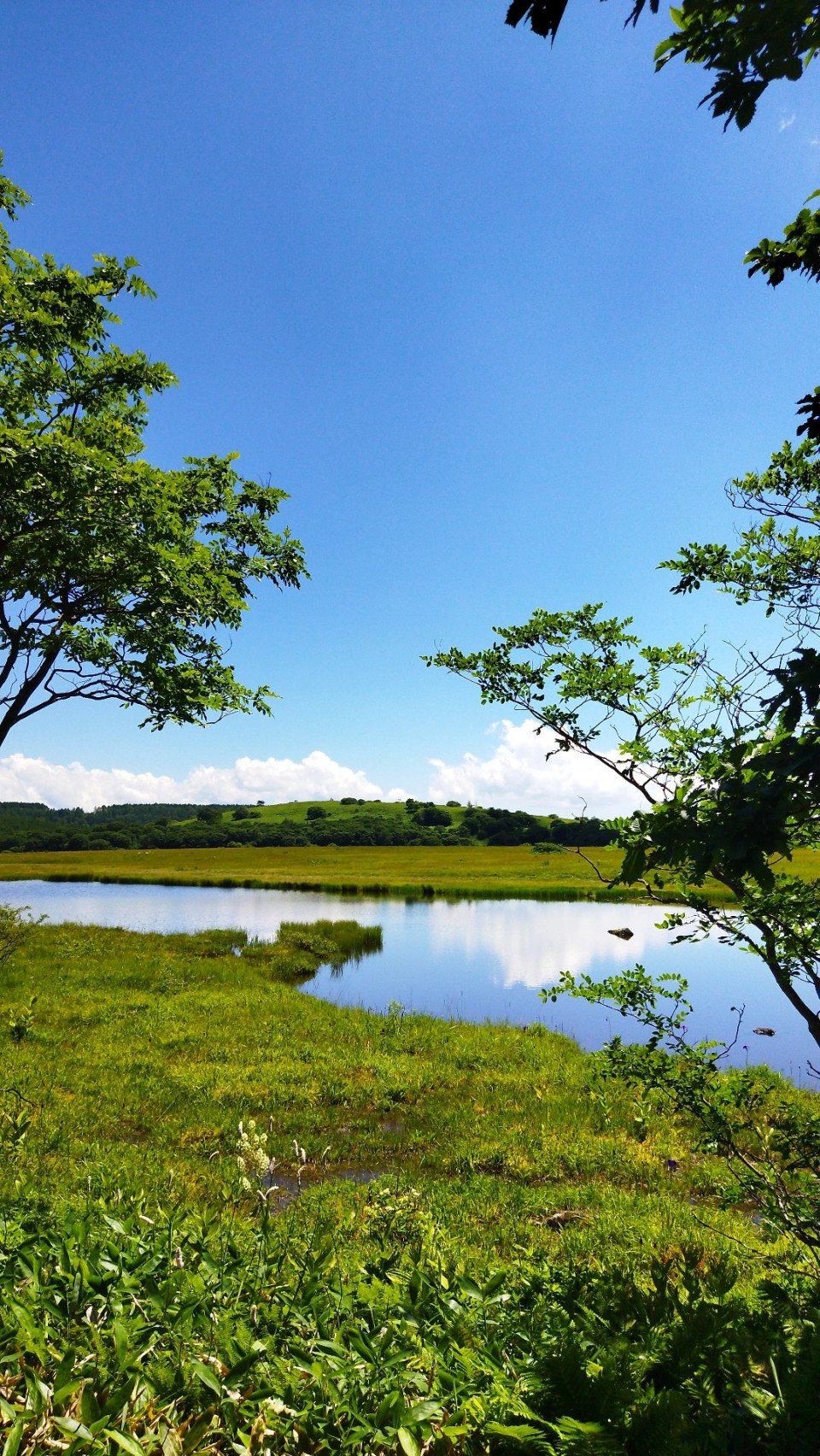 第21話：︎🩷×♡（スノ×夢主）｜無料スマホ夢小説ならプリ小説 byGMO