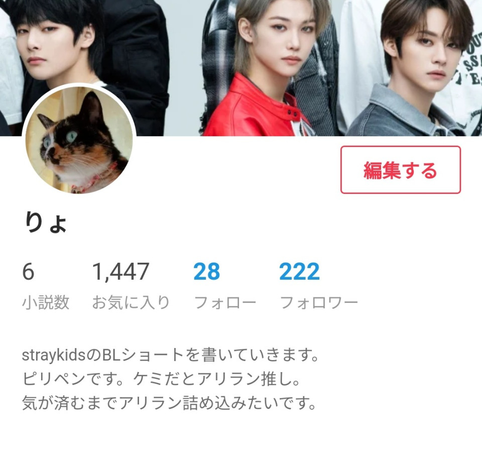 第34話：🐰🦊にゃんにゃんにゃん フォロワー222企画（Straykids Short Story）｜無料スマホ夢小説ならプリ小説 byGMO