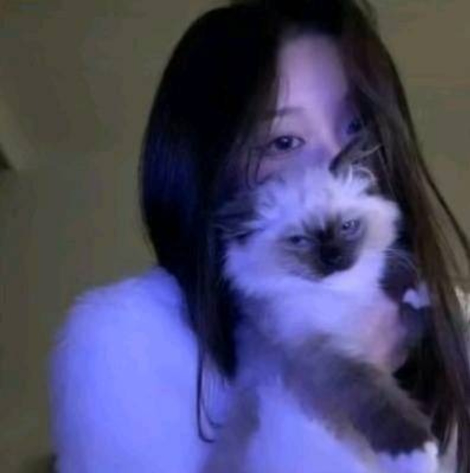 第1話：Prologue（紅一点は暴れん坊）｜無料スマホ夢小説ならプリ小説 byGMO