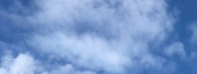 白瓜さんのプロフィール[6468c] | 無料スマホ夢小説ならプリ小説 byGMO