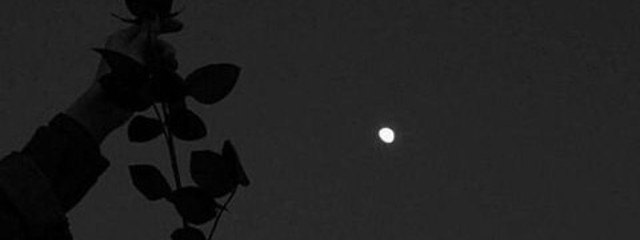 tuguna☁さんのプロフィール[96ea4] | 無料スマホ夢小説ならプリ小説 byGMO