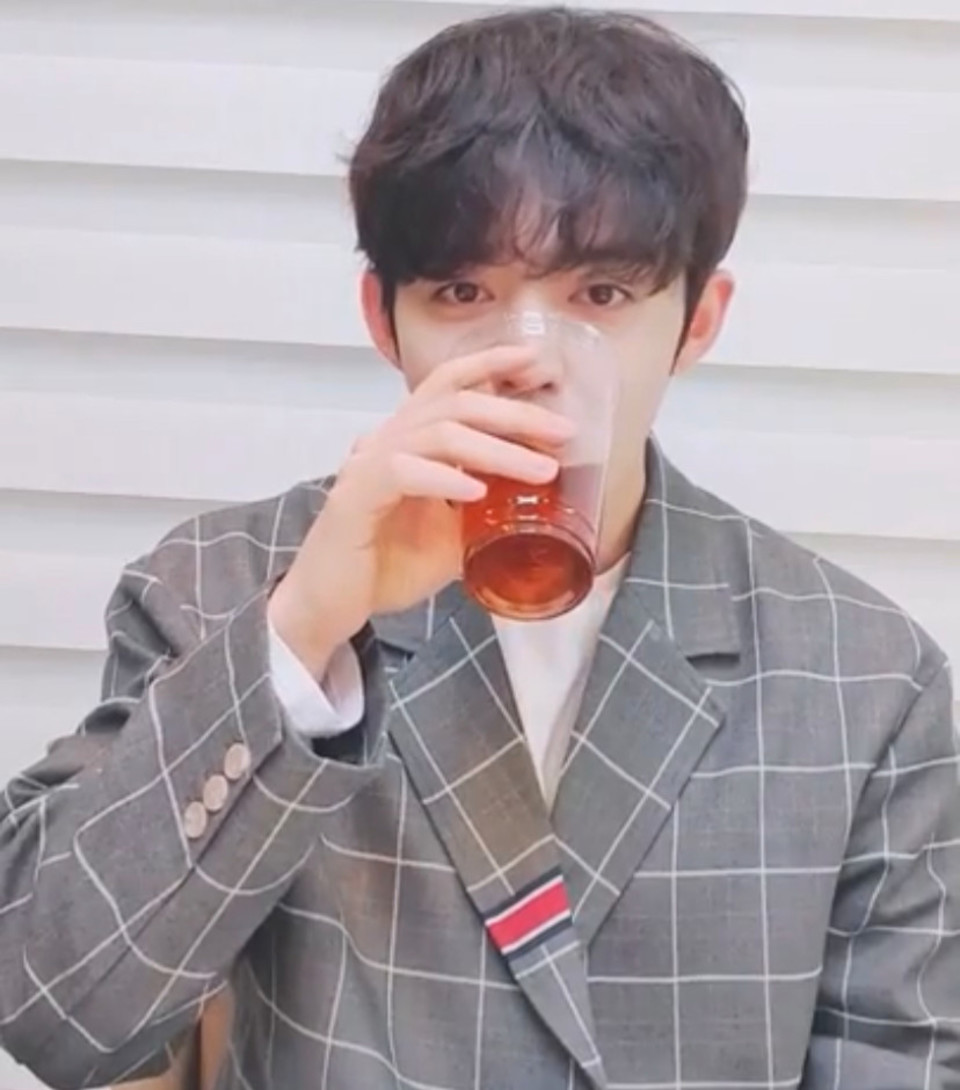 第102話：76話 クプスおかえりin Vライブ（セブチのヌナは大忙し）｜無料スマホ夢小説ならプリ小説 byGMO