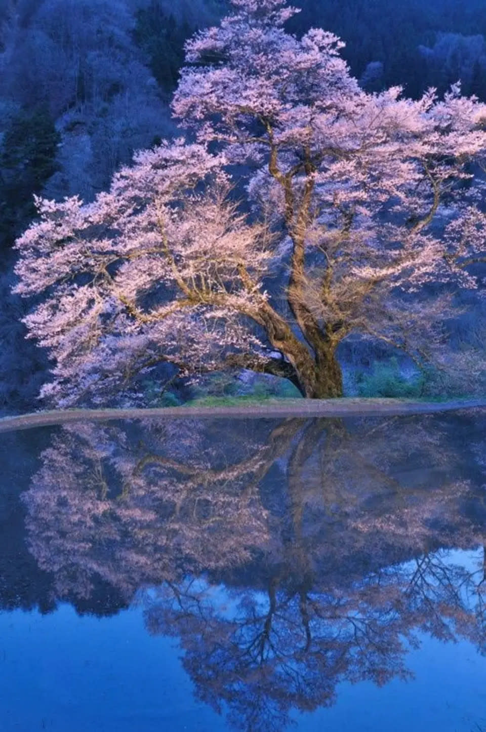 第13話：出会い④(壮馬side)（斉藤壮馬の彼女ちゃん【短編集】）｜無料スマホ夢小説ならプリ小説 byGMO